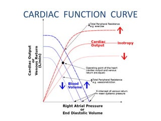 Types of Heart Activity (Autoregulation of heart) | PPTX