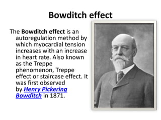 Types of Heart Activity (Autoregulation of heart) | PPTX