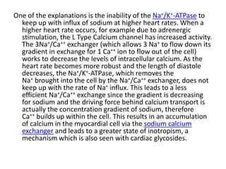 Types of Heart Activity (Autoregulation of heart) | PPTX