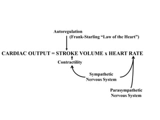 Types of Heart Activity (Autoregulation of heart) | PPTX