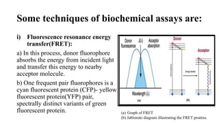 hit identification.pptx