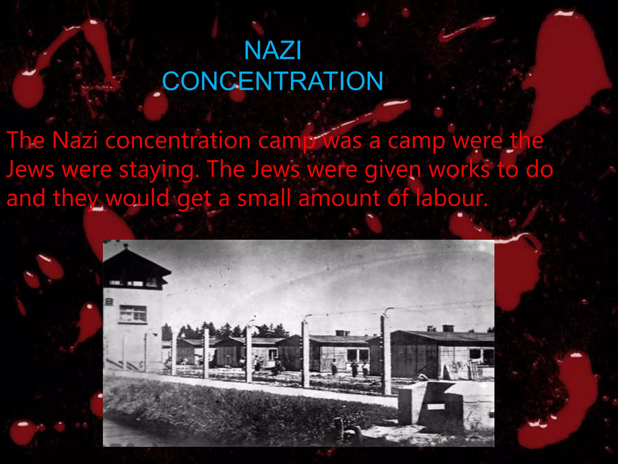 ADOLF HITLER PPT | PPTX