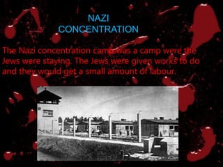 ADOLF HITLER PPT | PPTX