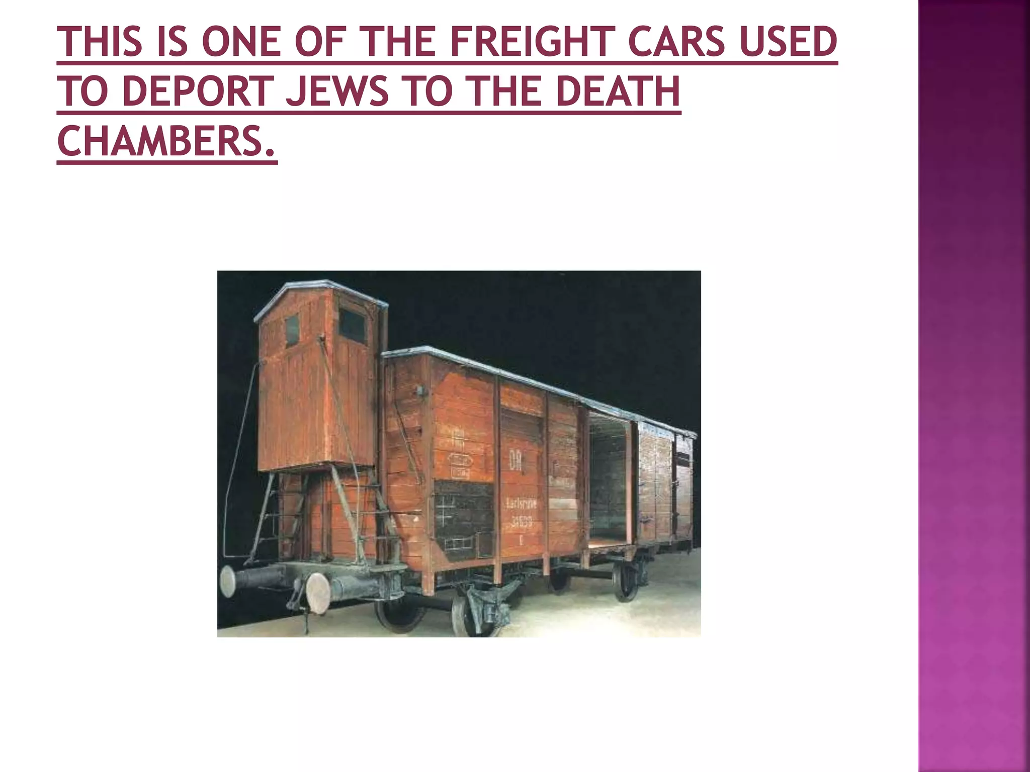 Hitler and Nazism PPT for class 9 | PPTX