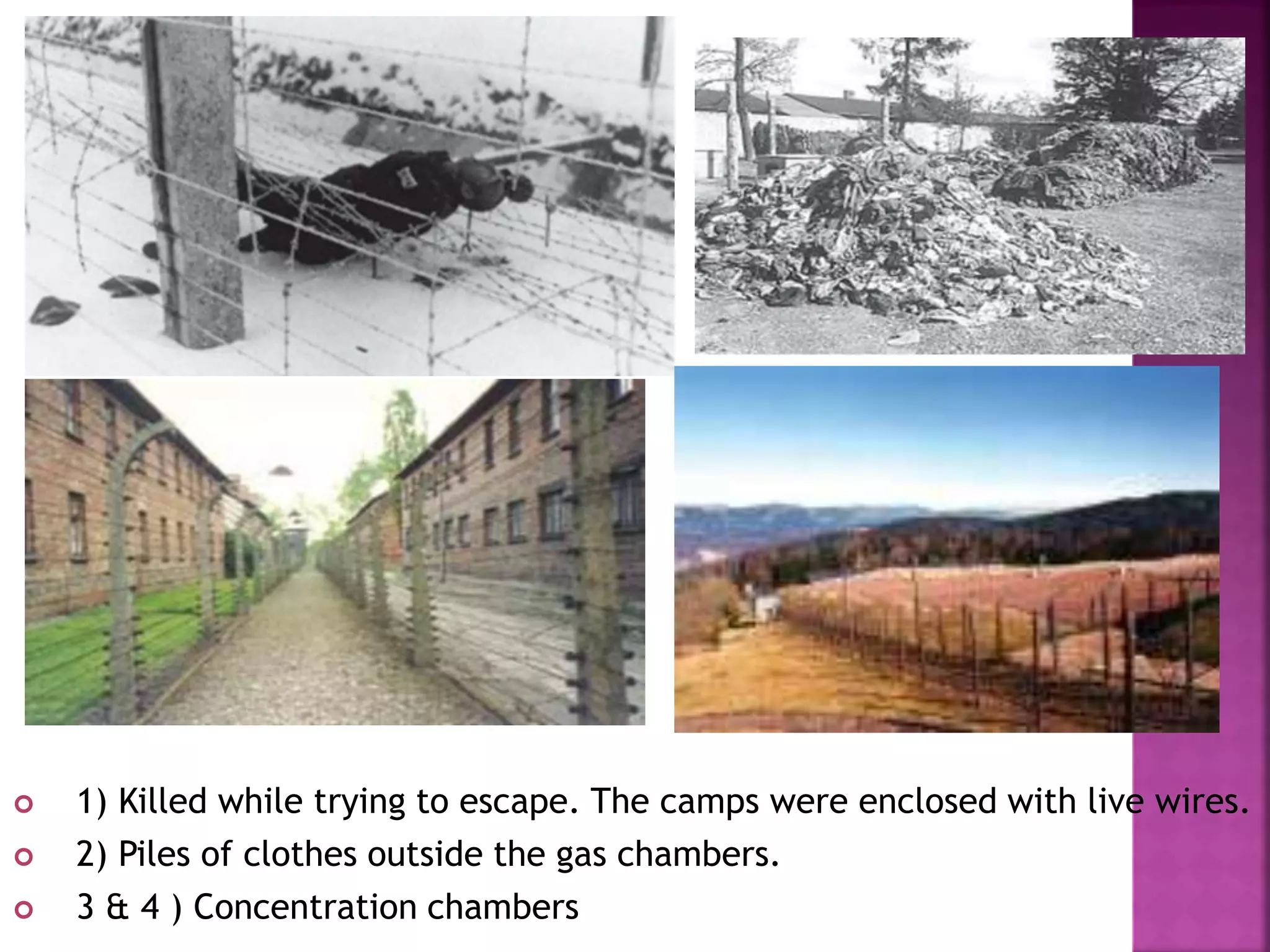 Hitler and Nazism PPT for class 9 | PPTX