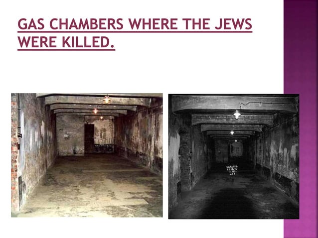 Hitler and Nazism PPT for class 9 | PPTX