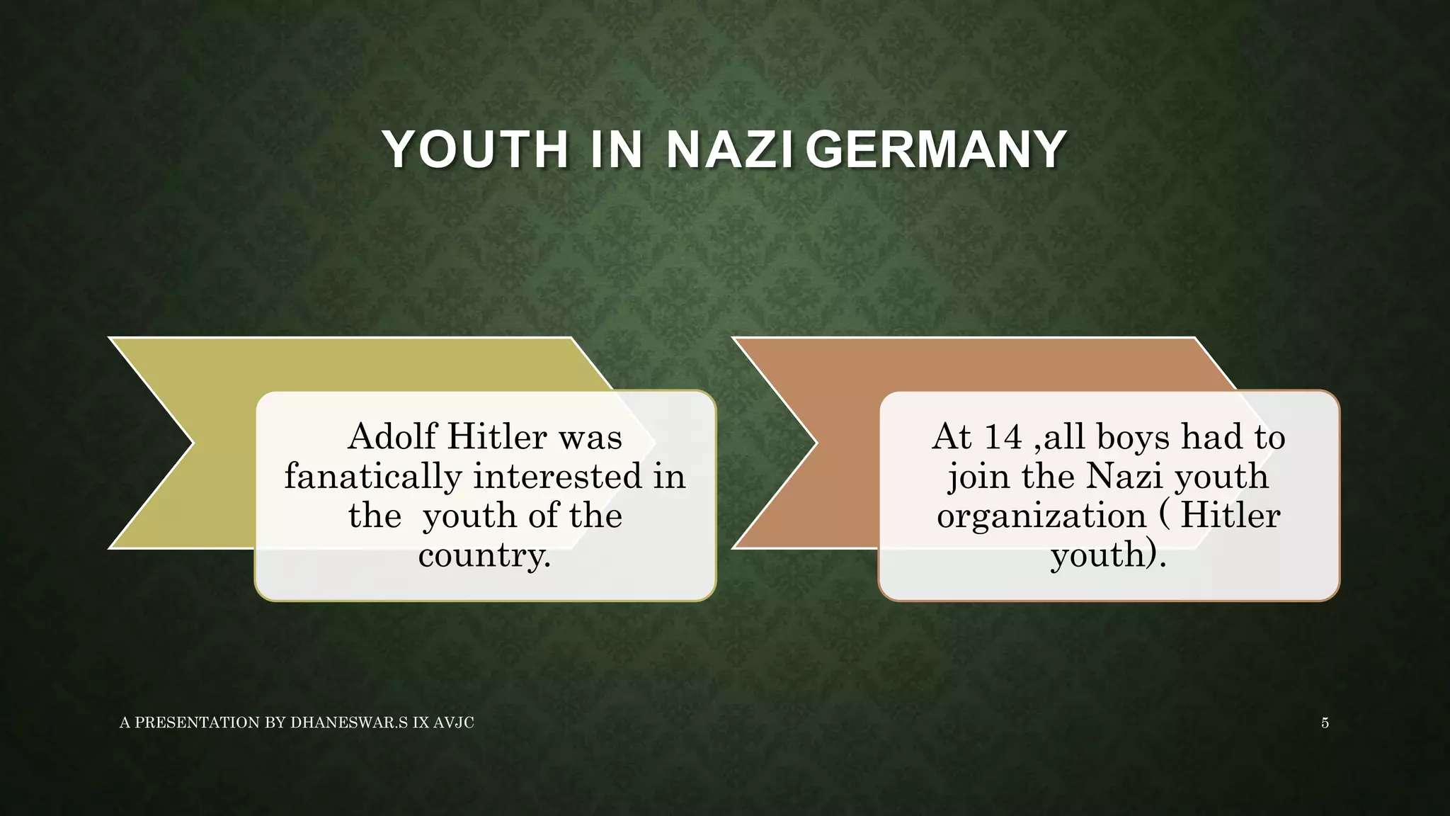 Hitler rise to power | PPTX