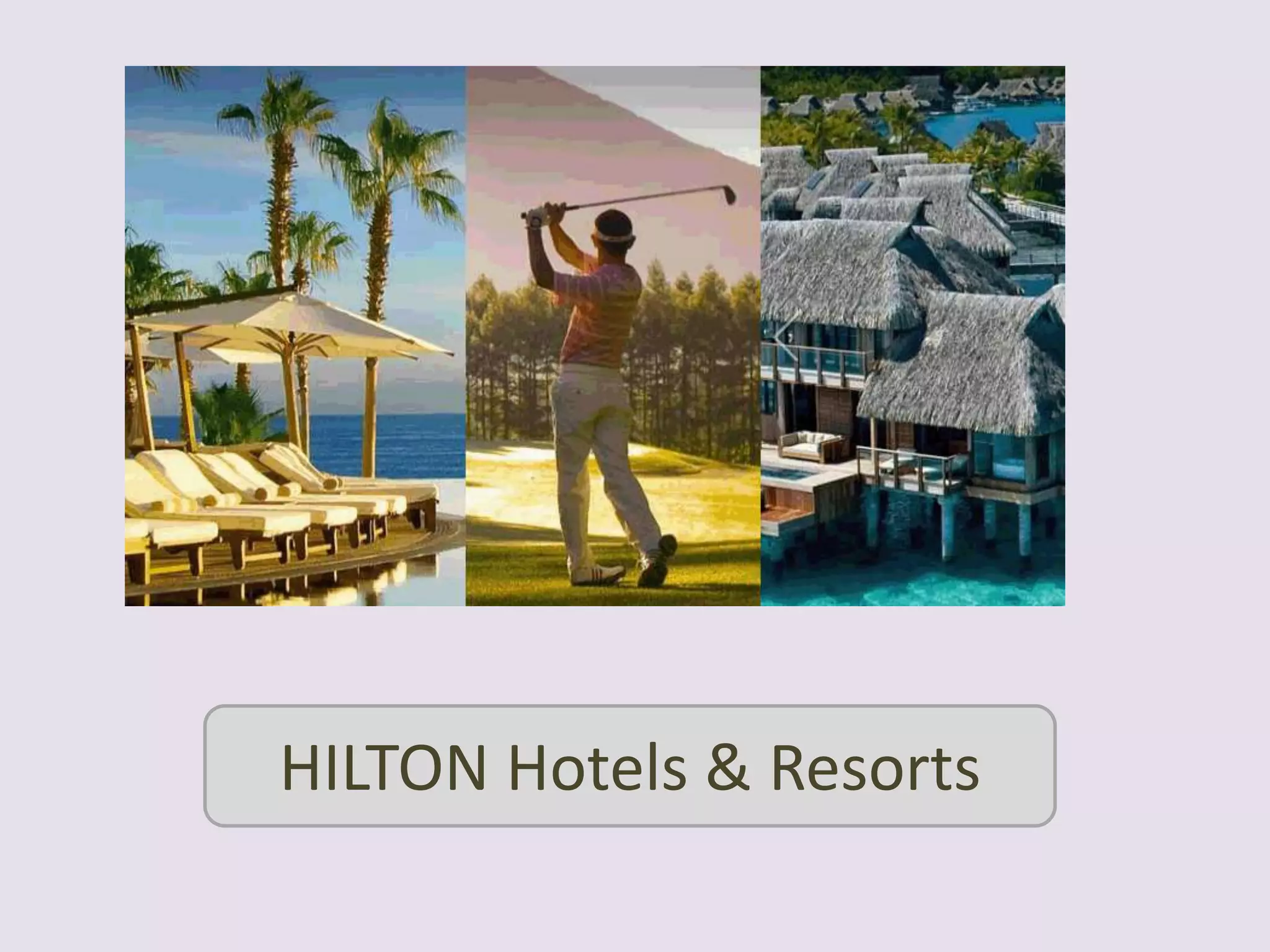 Hilton case study : How Hilton address customer decision journeys! | PPT