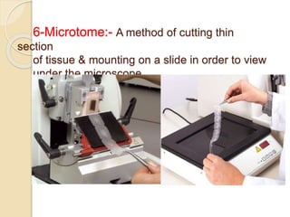 Hitopathology technique seminar | PPTX