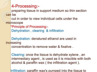 Hitopathology technique seminar | PPTX