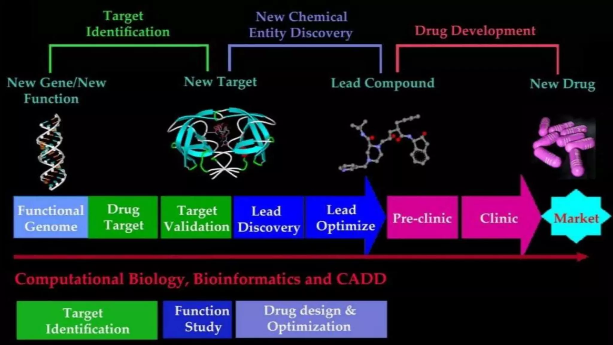 Hit to lead drug discovery .pptx