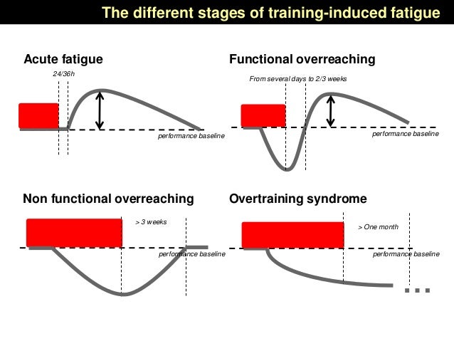 High-Intensity Training [YLMSportScience 2015]