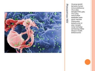 Hiv | PPT