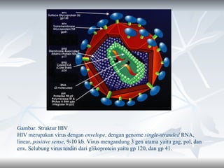 HIV | PPT