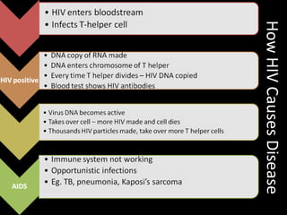 Human Biology: HIV | PPT