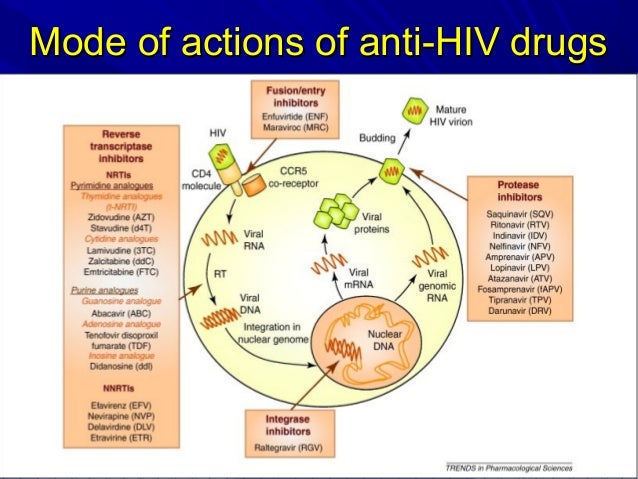 Hiv