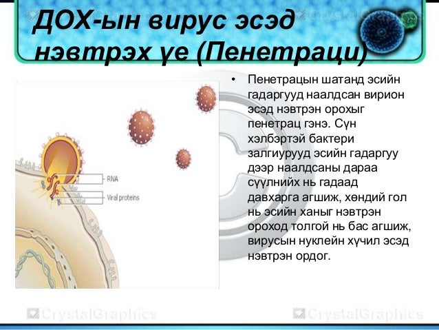 хүний дархлал хомсдлын вирус Hiv