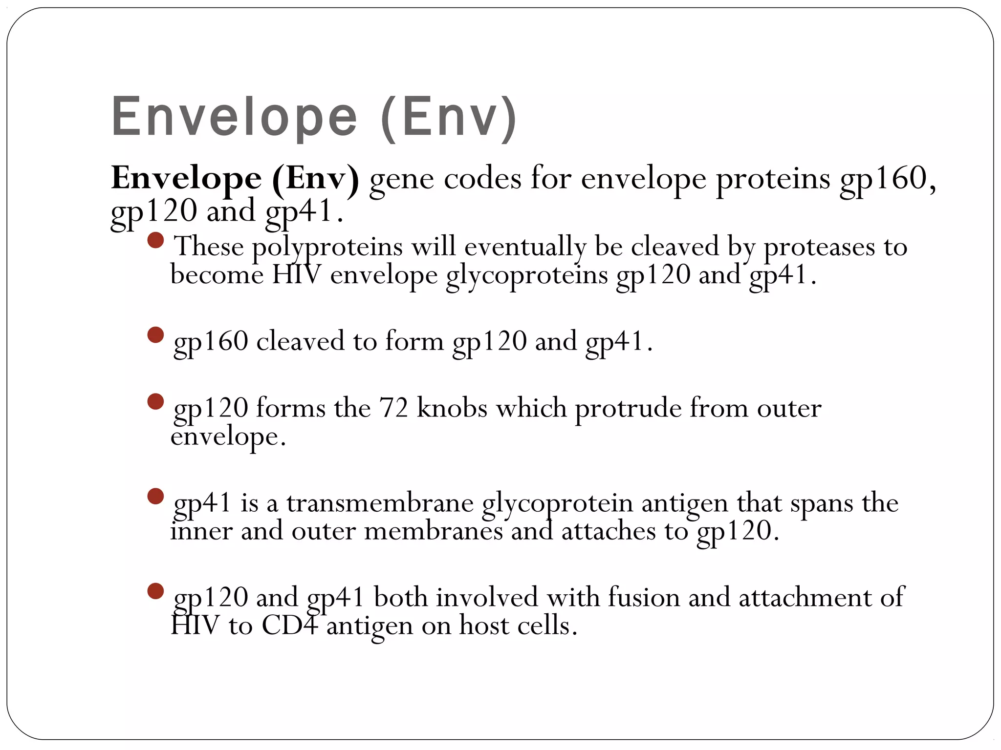 Human Immunodeficiency Virus | PPT