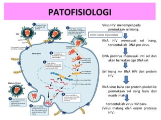 HIV DALAM KEHAMILAN & PENATALAKSANAANNYA (WHO 2013) | PPT
