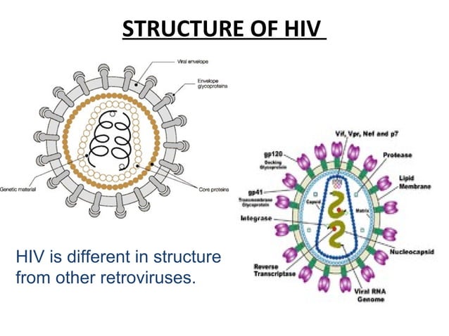 Hiv 140123032347-phpapp02 | PPT