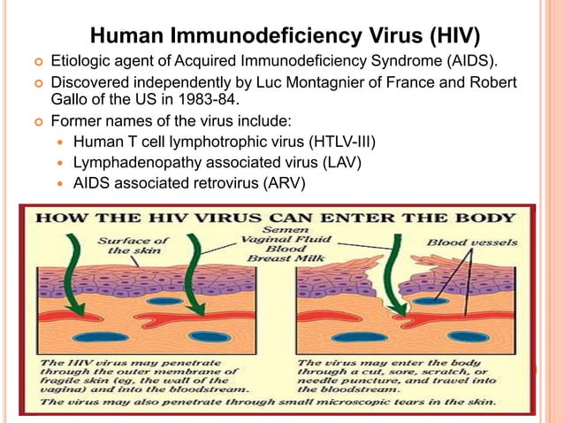 Hiv | PPTX | Infectious Diseases | Diseases and Conditions