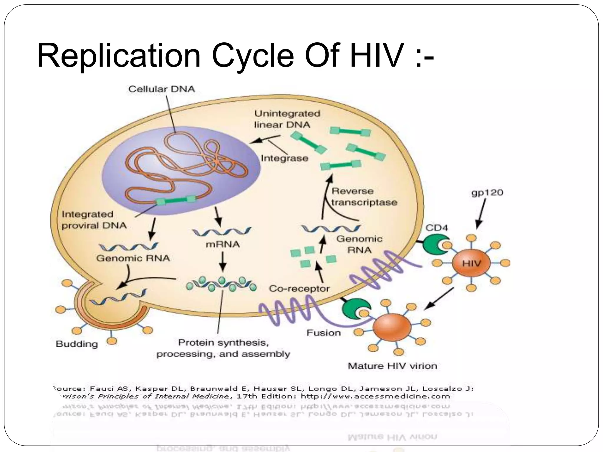 HIV in pregnancy | PPTX
