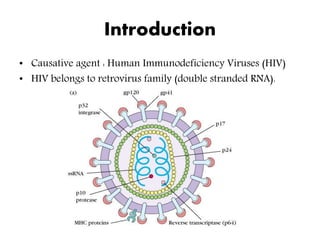 Human Immunodeficiency Virus - Acquired Immuno Deficiency Disease | PPT