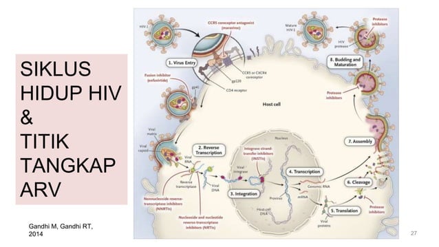Definisi,penyebab dan tata laksana penyakit hiv | PPTX