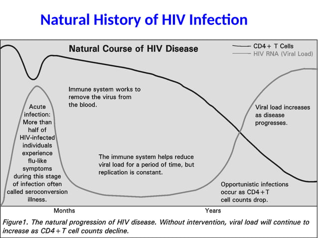 HIV microcellbiology infection mmmmmm.ppt