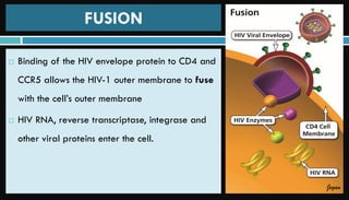 Pathophysiology of HIV AIDS | PDF
