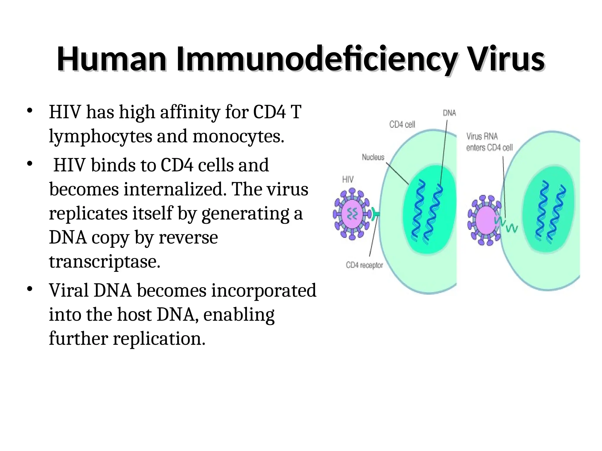 HIV-AIDS- Classification, pathogenesis, diagnosis, management | PPT