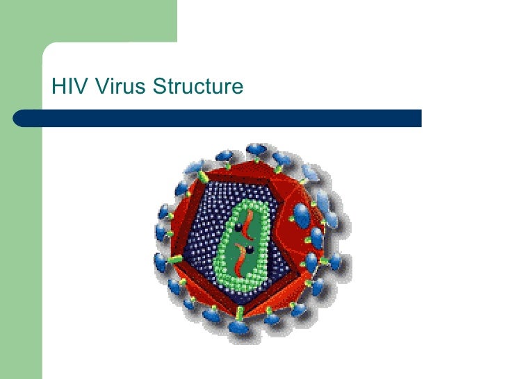Hiv Aids Bloodborne Pathogens