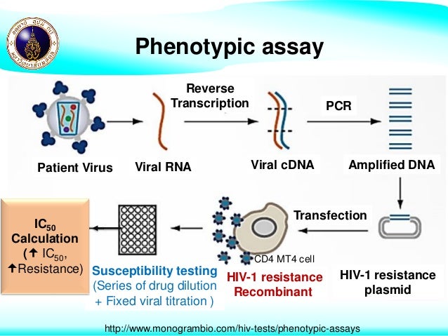 Laboratory diagnosis and monitoring of HIV