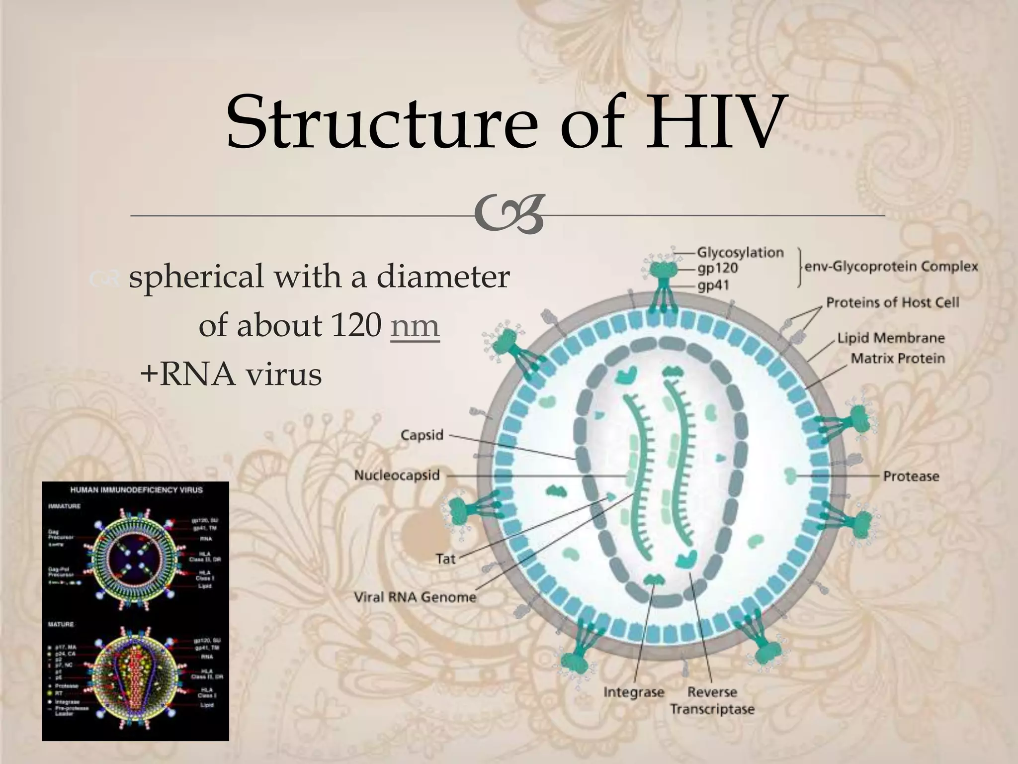 HIV and AIDS - Microbiology | PPTX