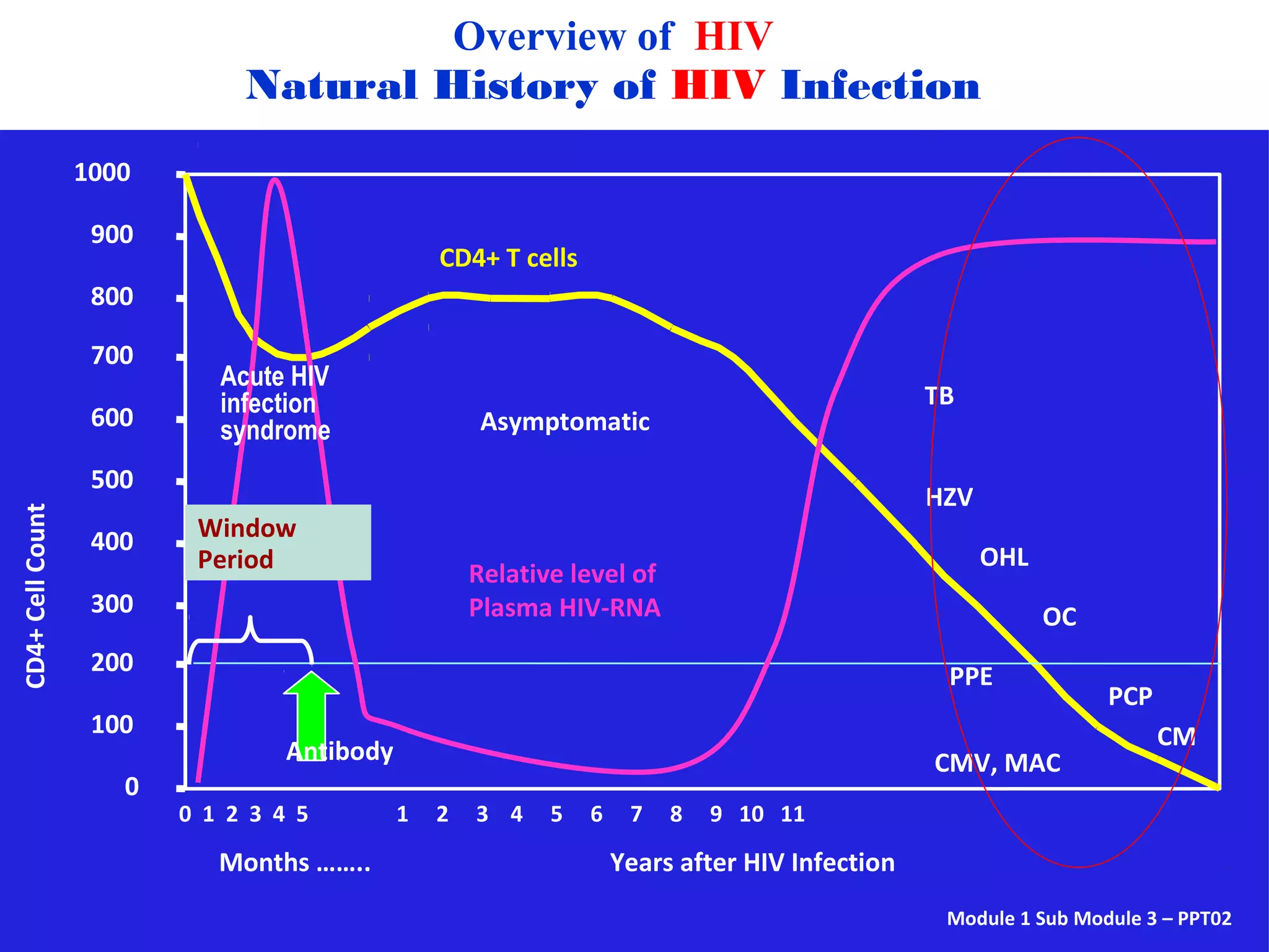 Hiv 101 dr susan gregorio | PPT