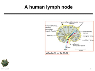 GKA deel 2 college 1 | PPT
