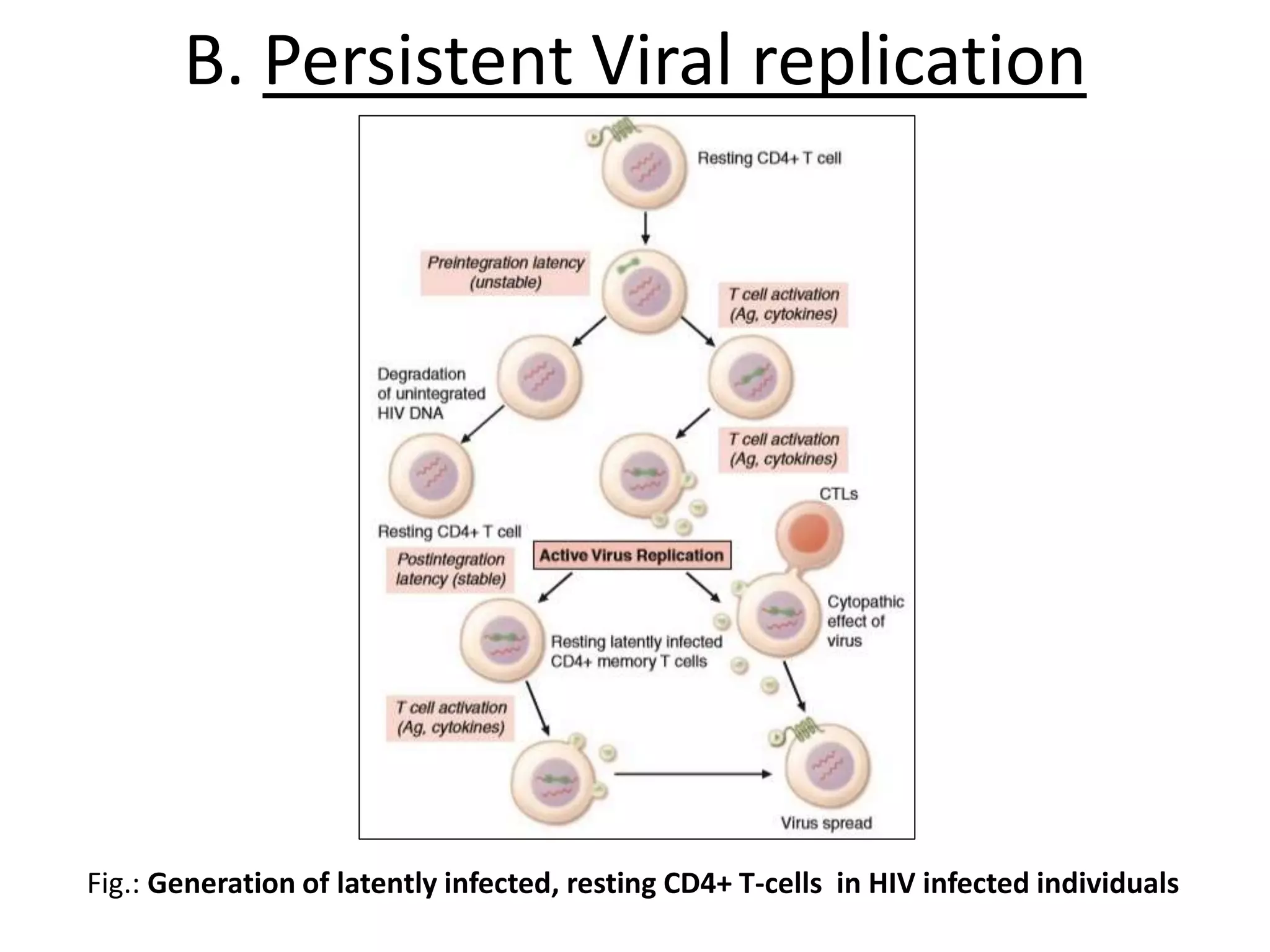 HIV Aetiology & Pathogenesis | PPTX