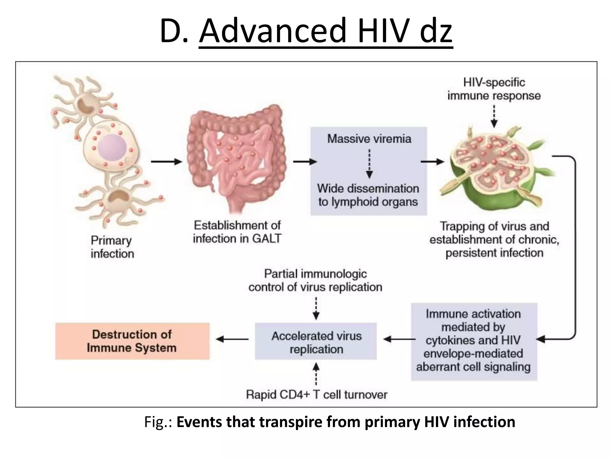 HIV Aetiology & Pathogenesis | PPTX