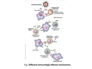 HIV Aetiology & Pathogenesis | PPTX