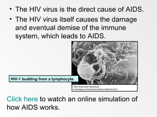 Hiv.Aids 6th Grade | PPT