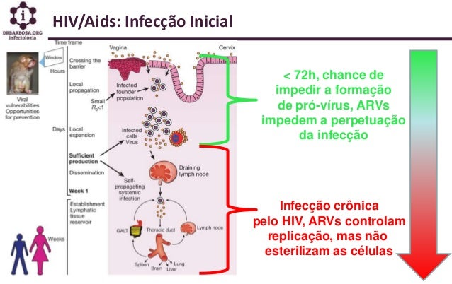 HIV/Aids em 2019 Epidemiologia, Fisiopatologia, Tratamento e Prevencao