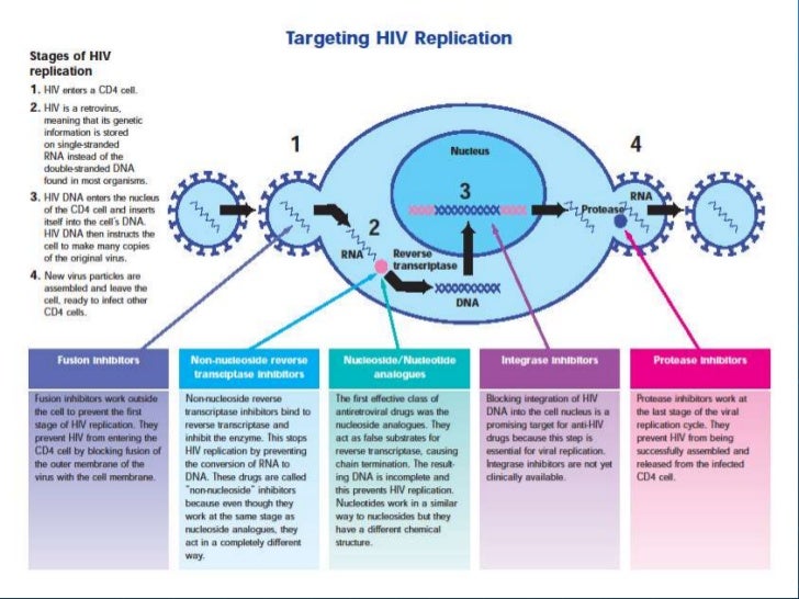 Hiv aids part 3[3]