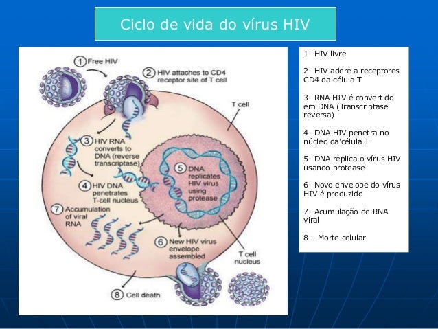 Hiv aids part 3 por