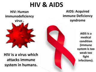 Hiv aids project | PPTX | Infectious Diseases | Diseases and Conditions