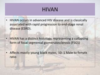 Hivan | PPT