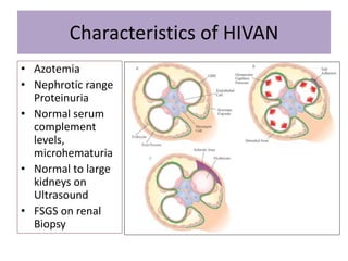 Hivan | PPT