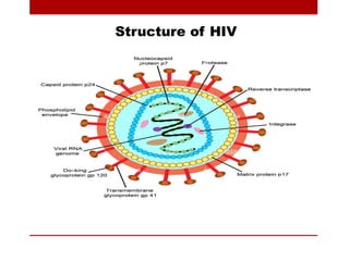HIV and AIDS and types, history, structure | PPTX