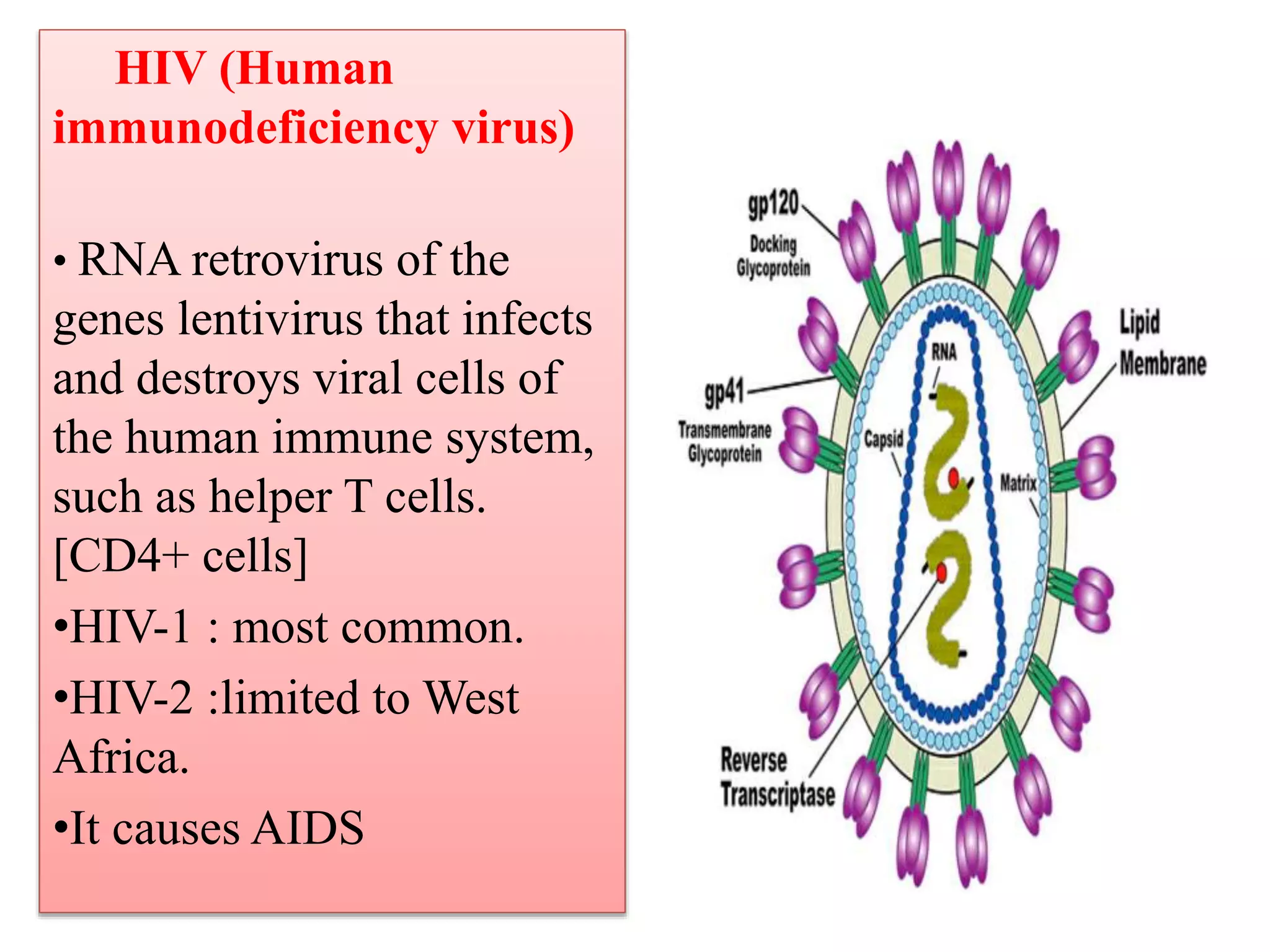 Hiv and opportunistic infection | PPTX