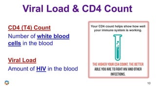 HIV awareness and prevention. STi awareness and prevention | PPT