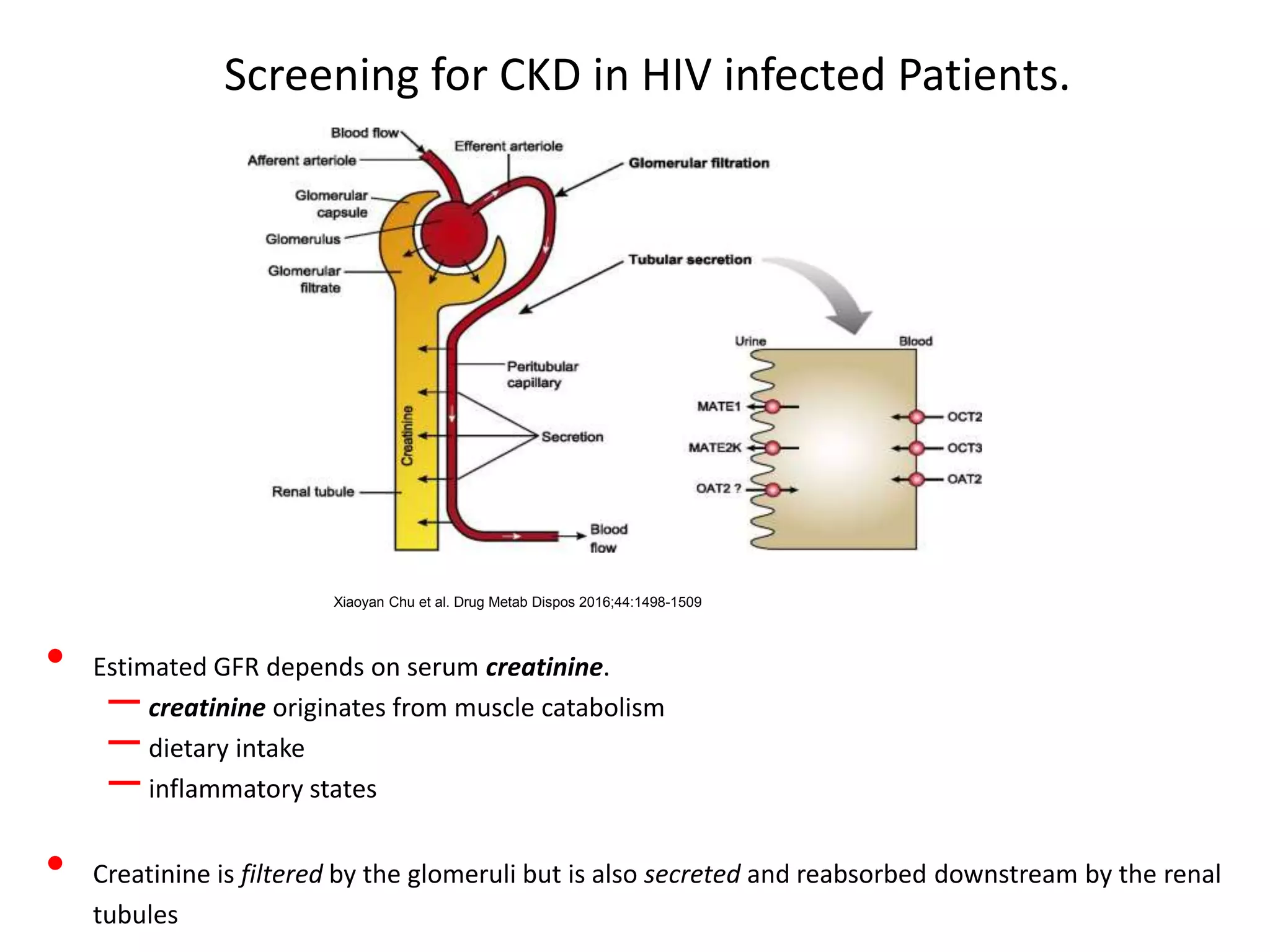 Hiv and the kidney | PPTX